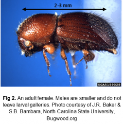 test - UK Plant Health Information Portal