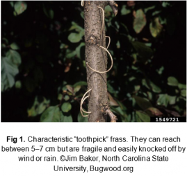 test - UK Plant Health Information Portal